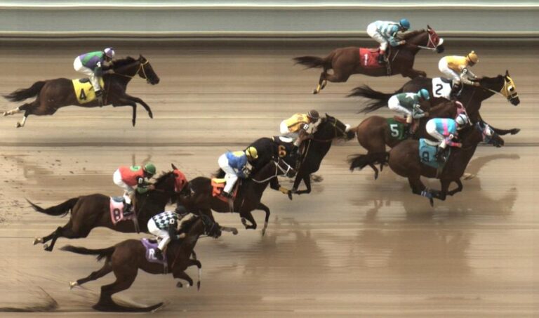 Photo-Finish Timing for Horse Racing, Greyhound, & Pari-Mutuel Venues ...